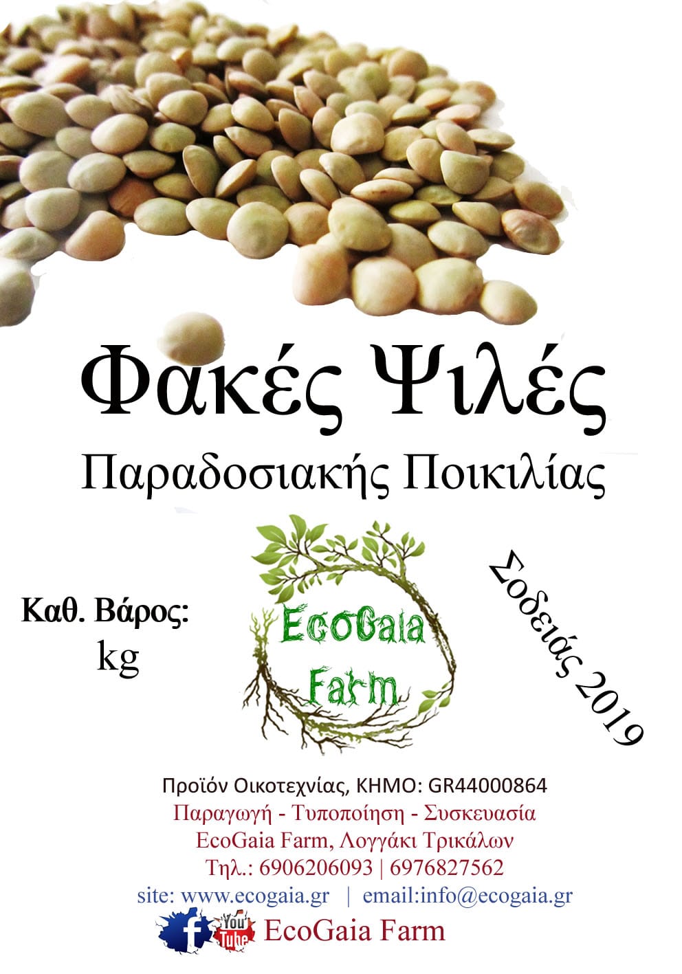 Φακές Ψιλές 500gr - Ecogaia Farm