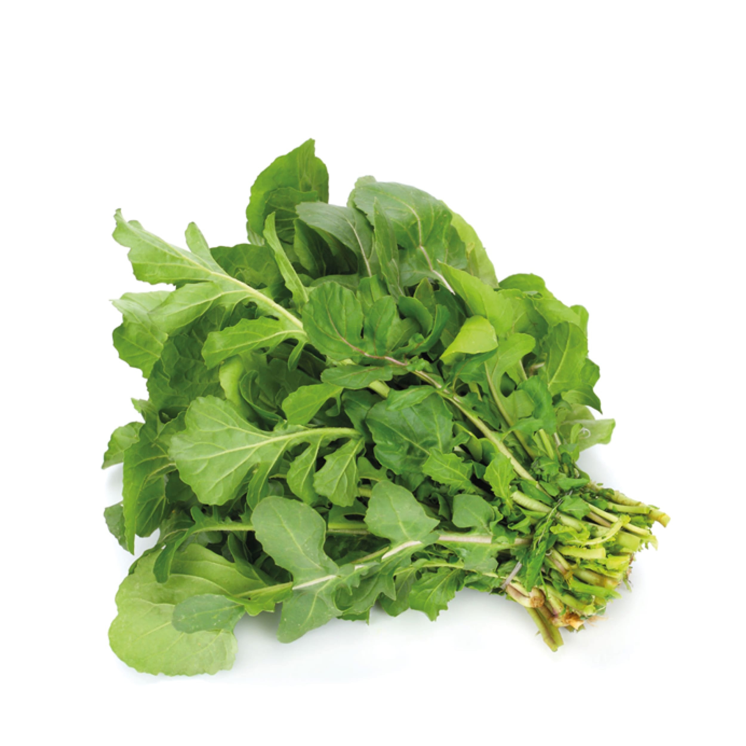 Ρόκα - Ecogaia Farm